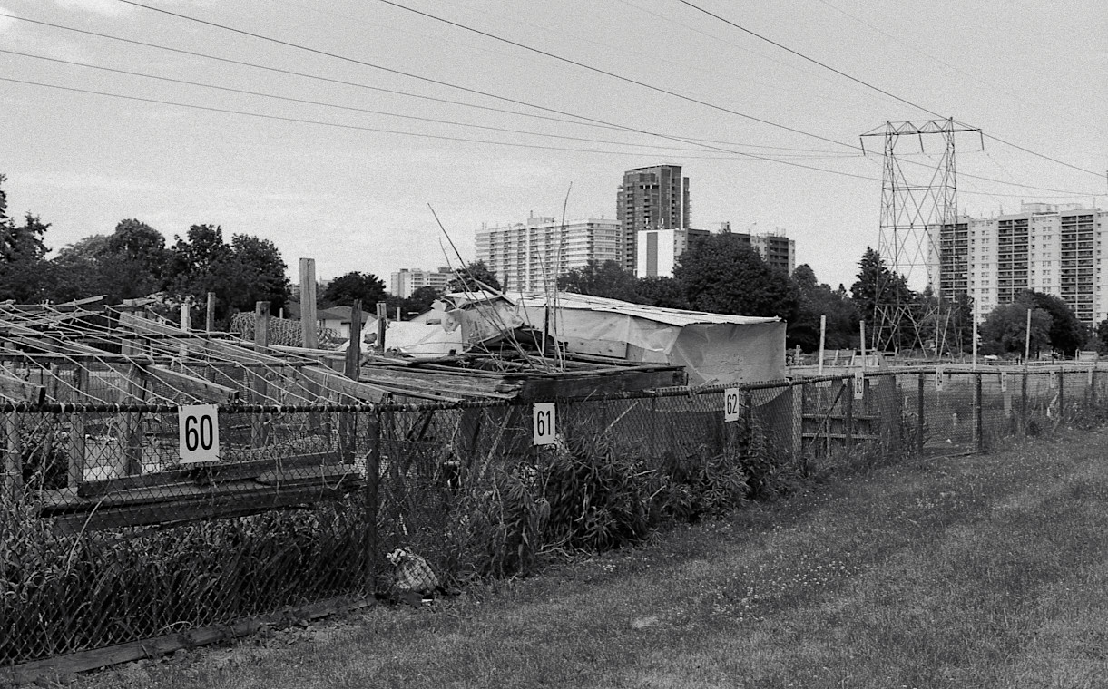 :cool: Lets see those ''film'' shots - Page 1671 - PentaxForums.com