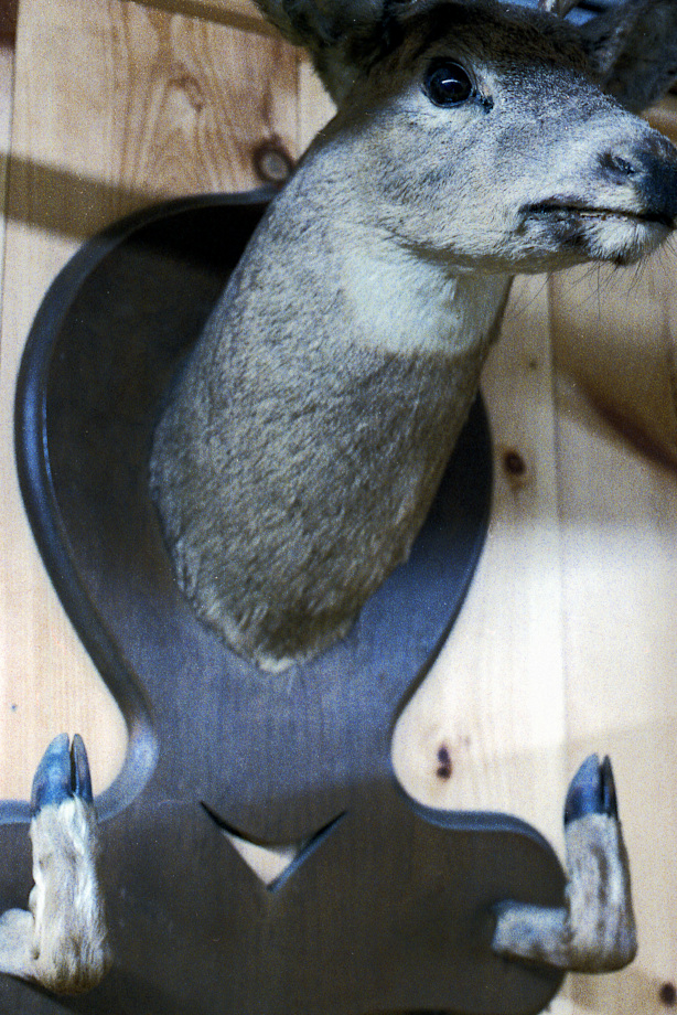 :cool: Lets see those ''film'' shots - Page 1709 - PentaxForums.com